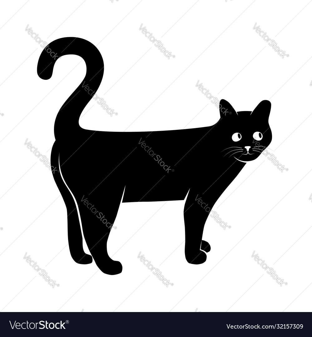 Cat question Royalty Free Vector Image - VectorStock