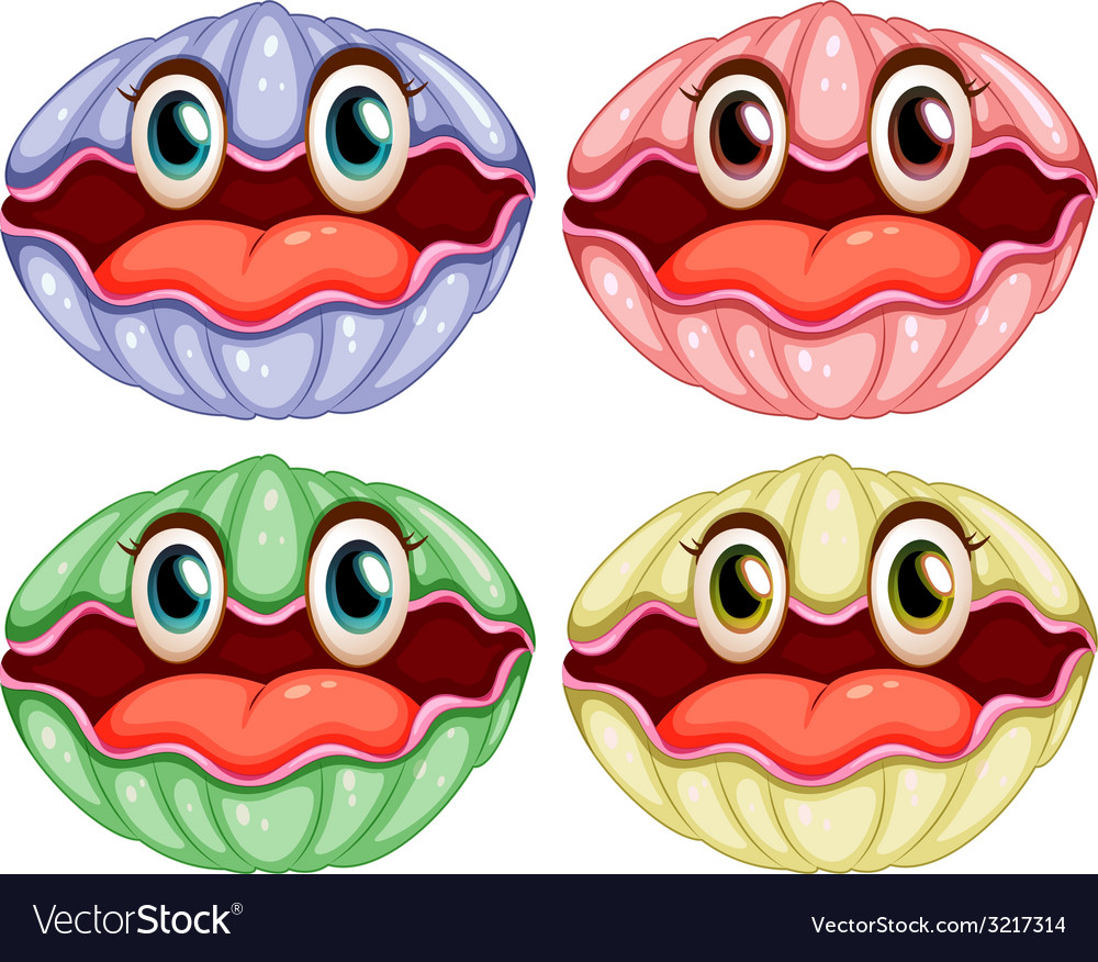 Shell Royalty Free Vector Image - VectorStock