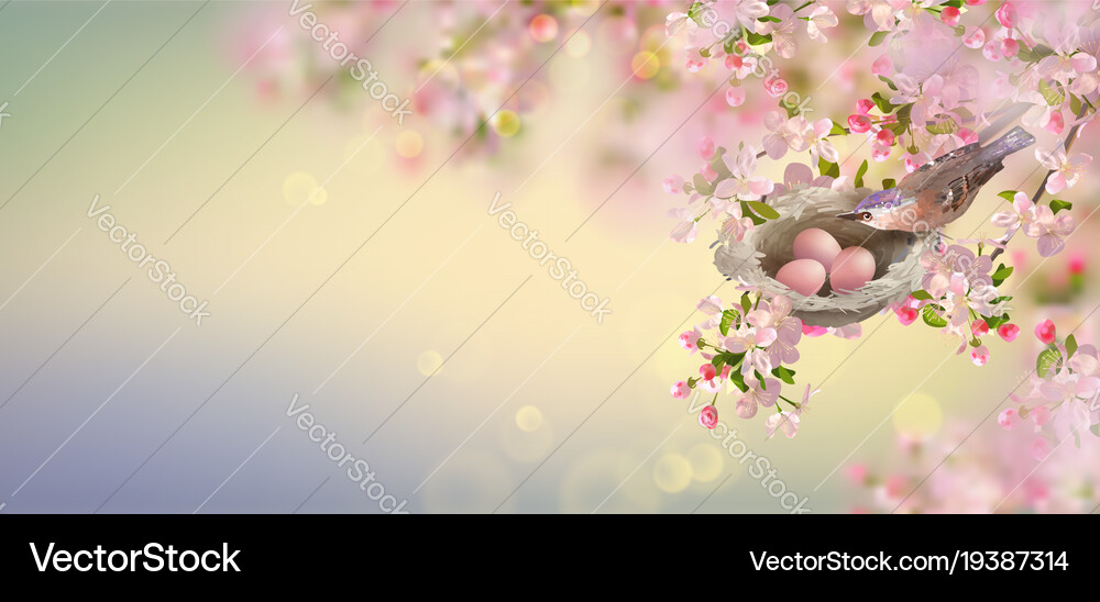 Spring apple blossom Royalty Free Vector Image