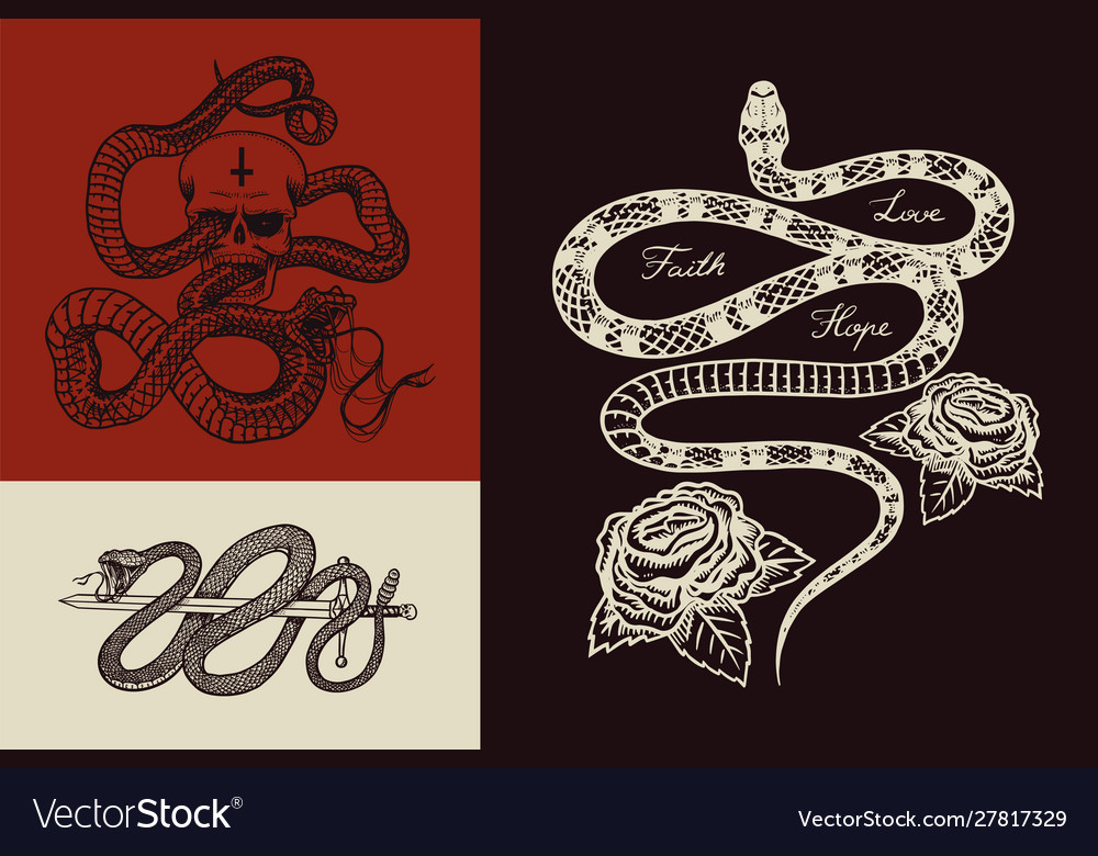 Royal python with a skull milk snake roses Vector Image