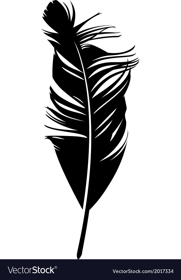 Feather Royalty Free Vector Image - VectorStock