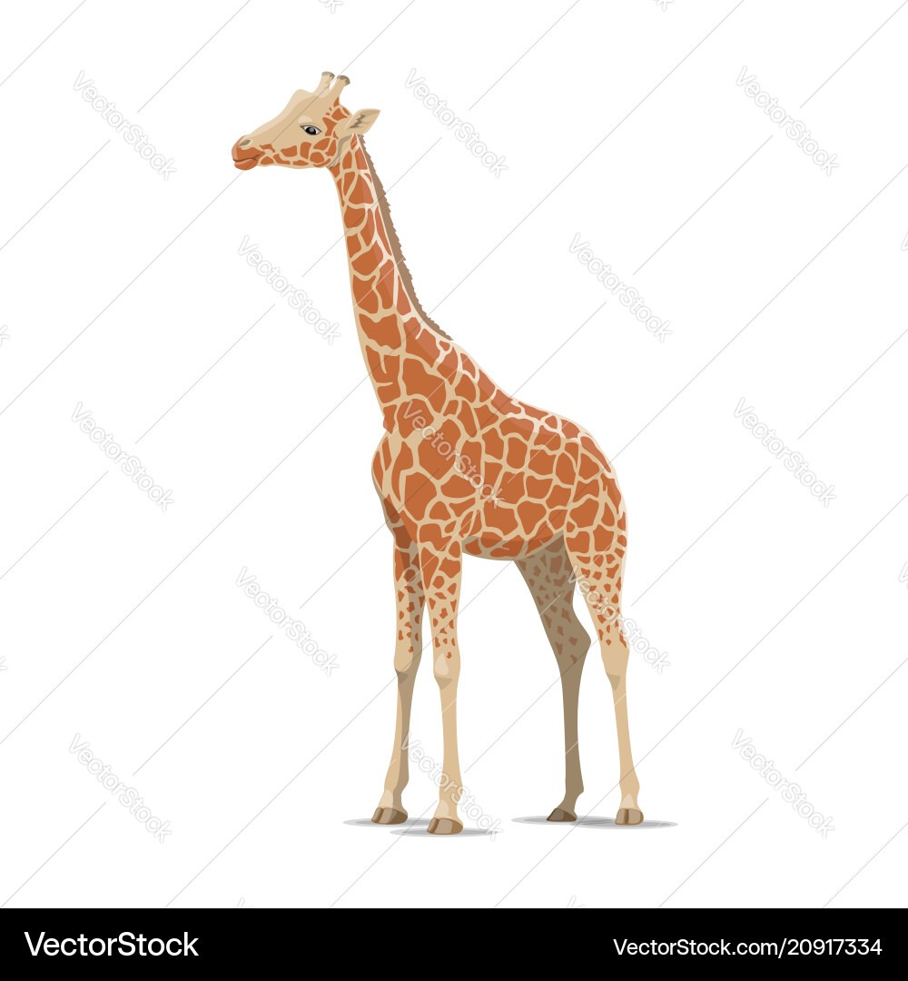 Giraffe wild animal isolated icon Royalty Free Vector Image