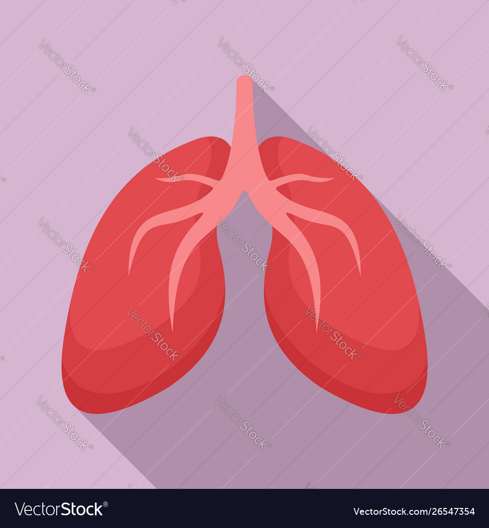Lungs icon flat style Royalty Free Vector Image Lungs icon flat style Royalty Free Vector Image