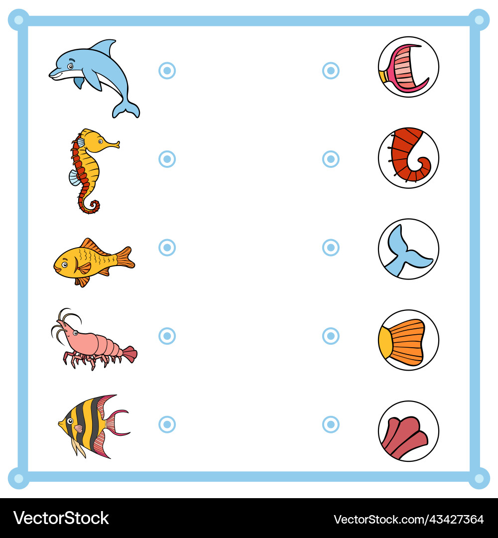 Matching game education for children find Vector Image