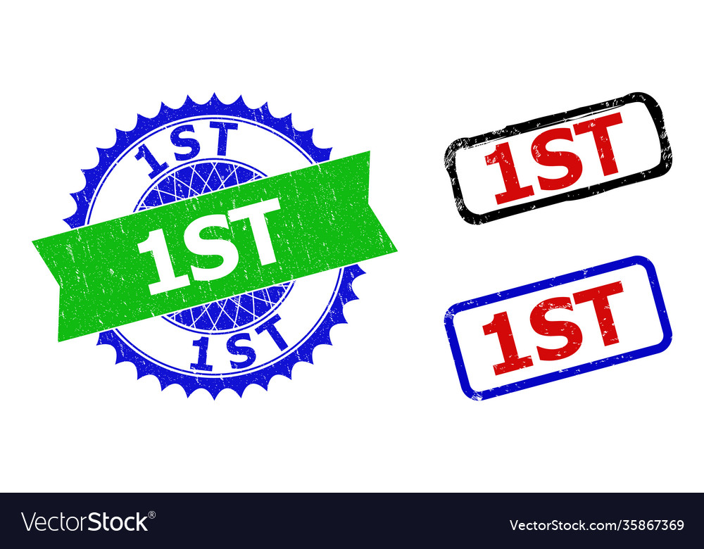 1st Rosette And Rectangle Bicolor Badges Vector Image