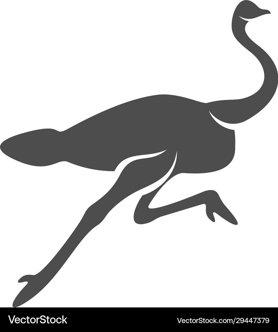 Ostrich logo animal graphic design Royalty Free Vector Image