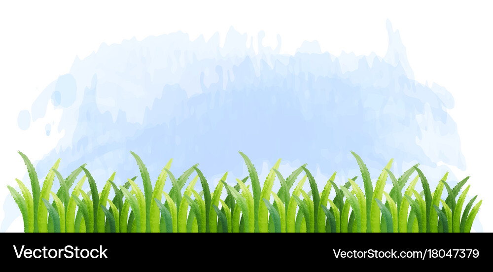 Watercolor Blue Grass Background Royalty Free Vector Image