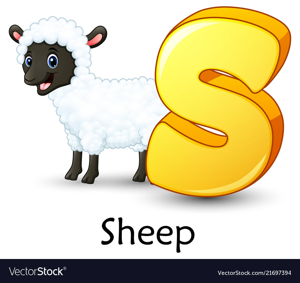 Letter s is for sheep cartoon alphabet Royalty Free Vector Letter s is for sheep cartoon alphabet Royalty Free Vector