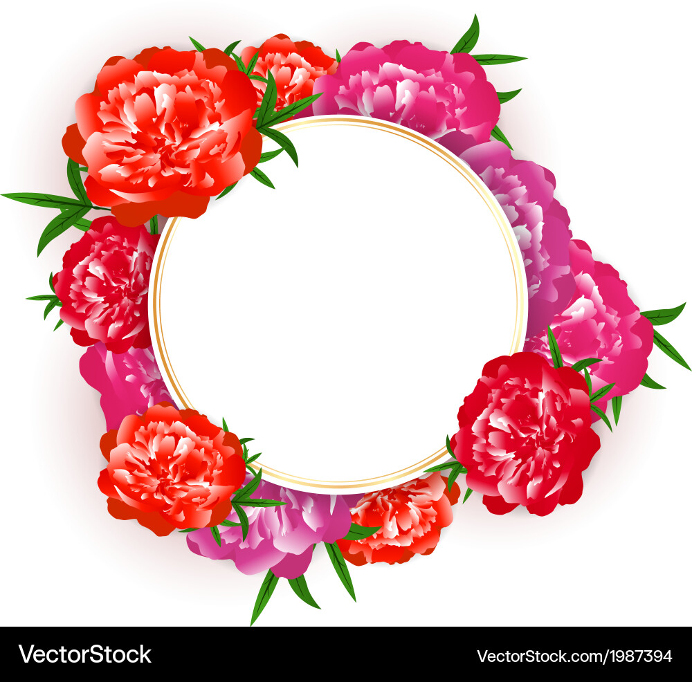 Peony round frame Royalty Free Vector Image - VectorStock
