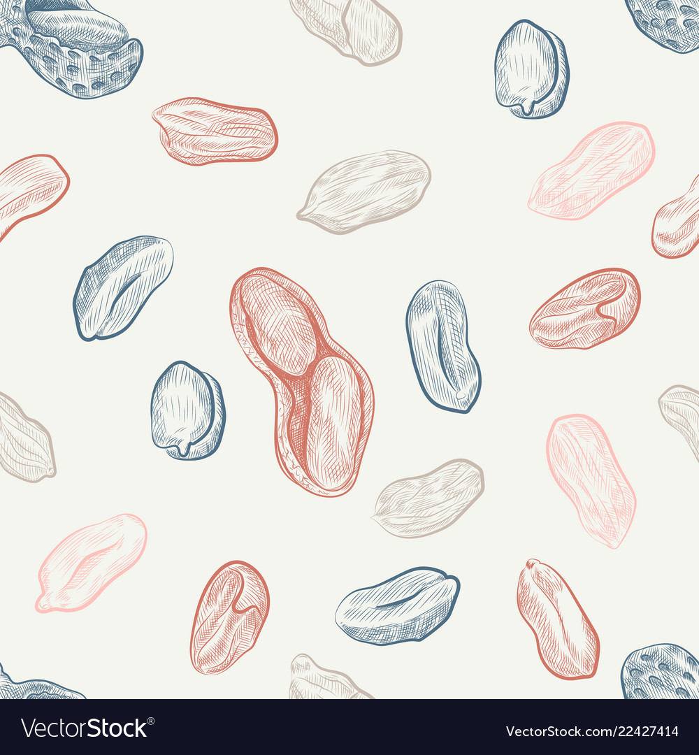 Peanut seamless pattern Royalty Free Vector Image