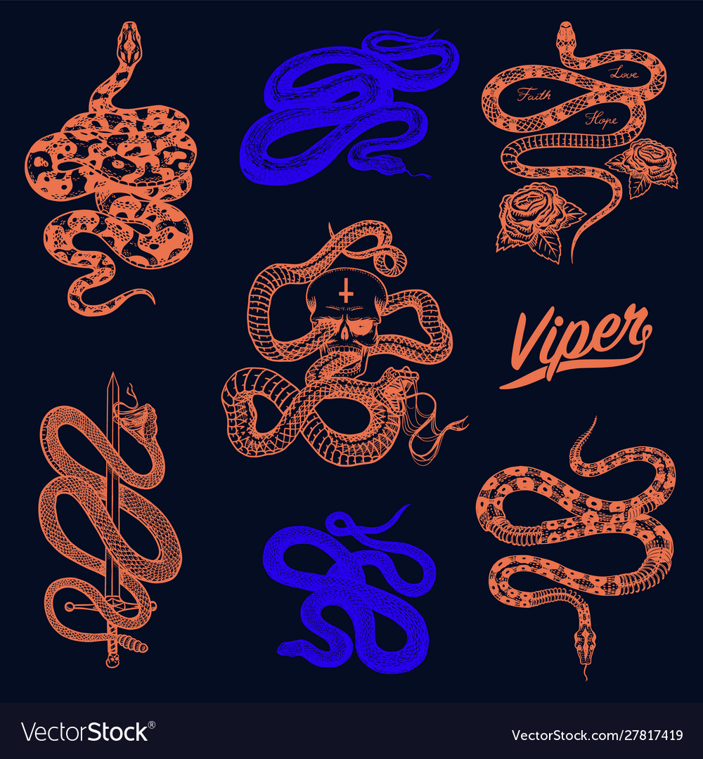 Milk snake with roses skeleton royal python Vector Image