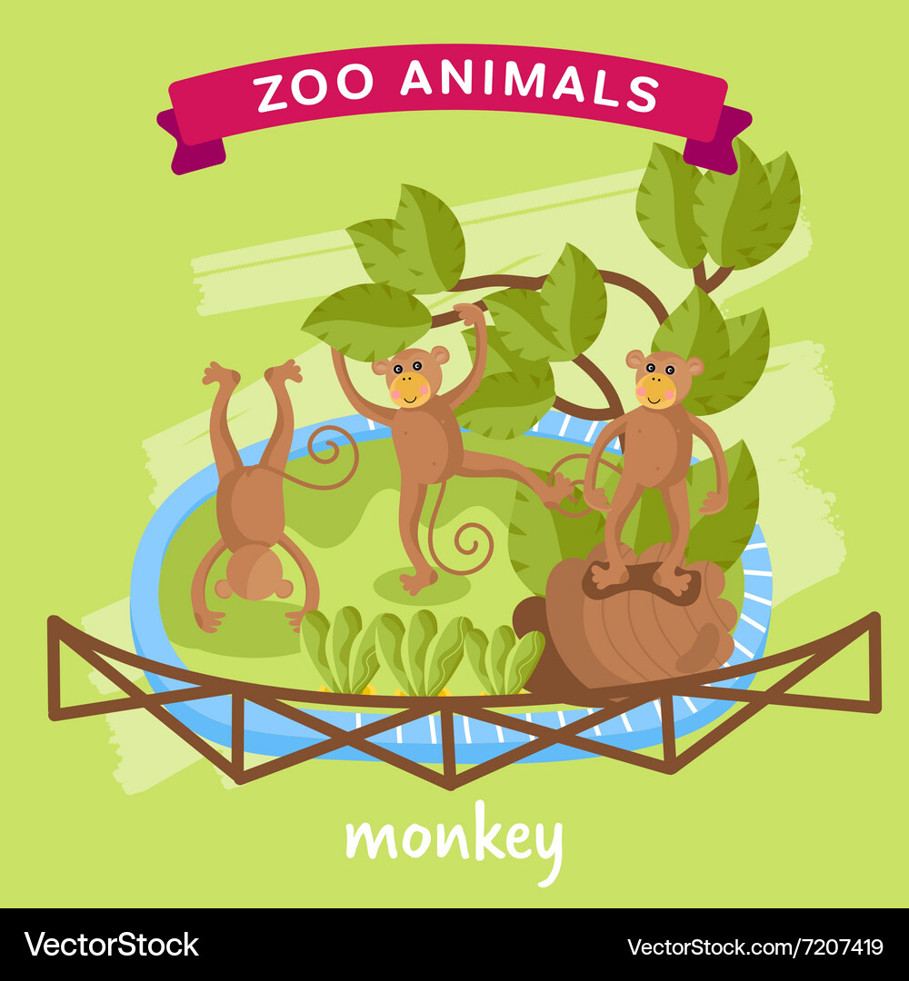 Zoo animal monkey Royalty Free Vector Image - VectorStock