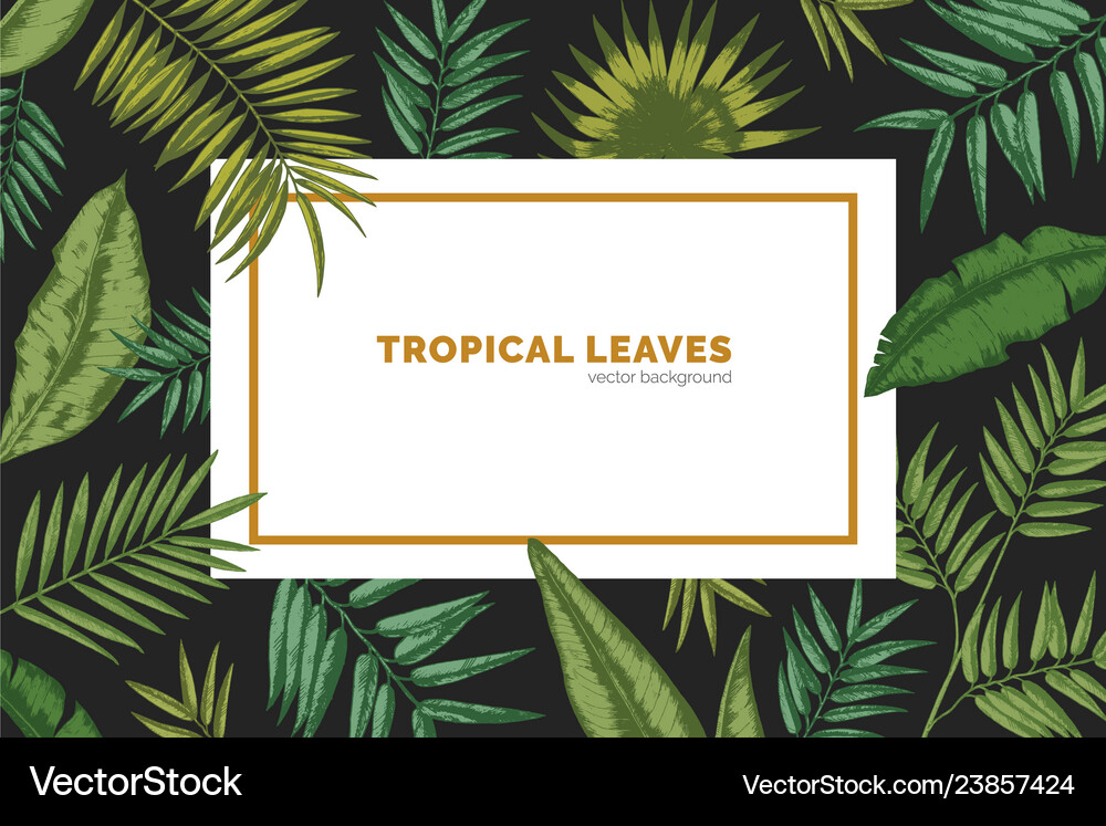 Horizontal background decorated by frame made Vector Image