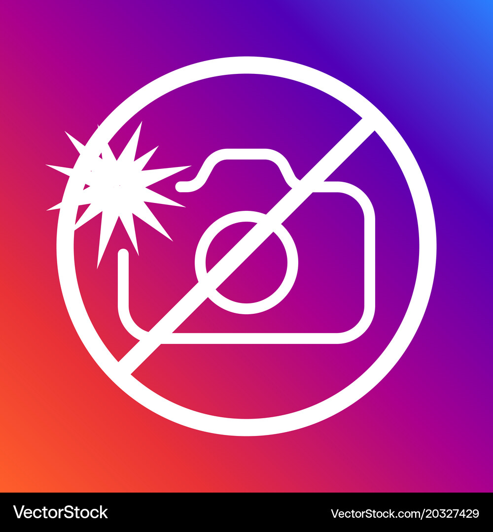 A sign prohibiting photographing with flash Vector Image
