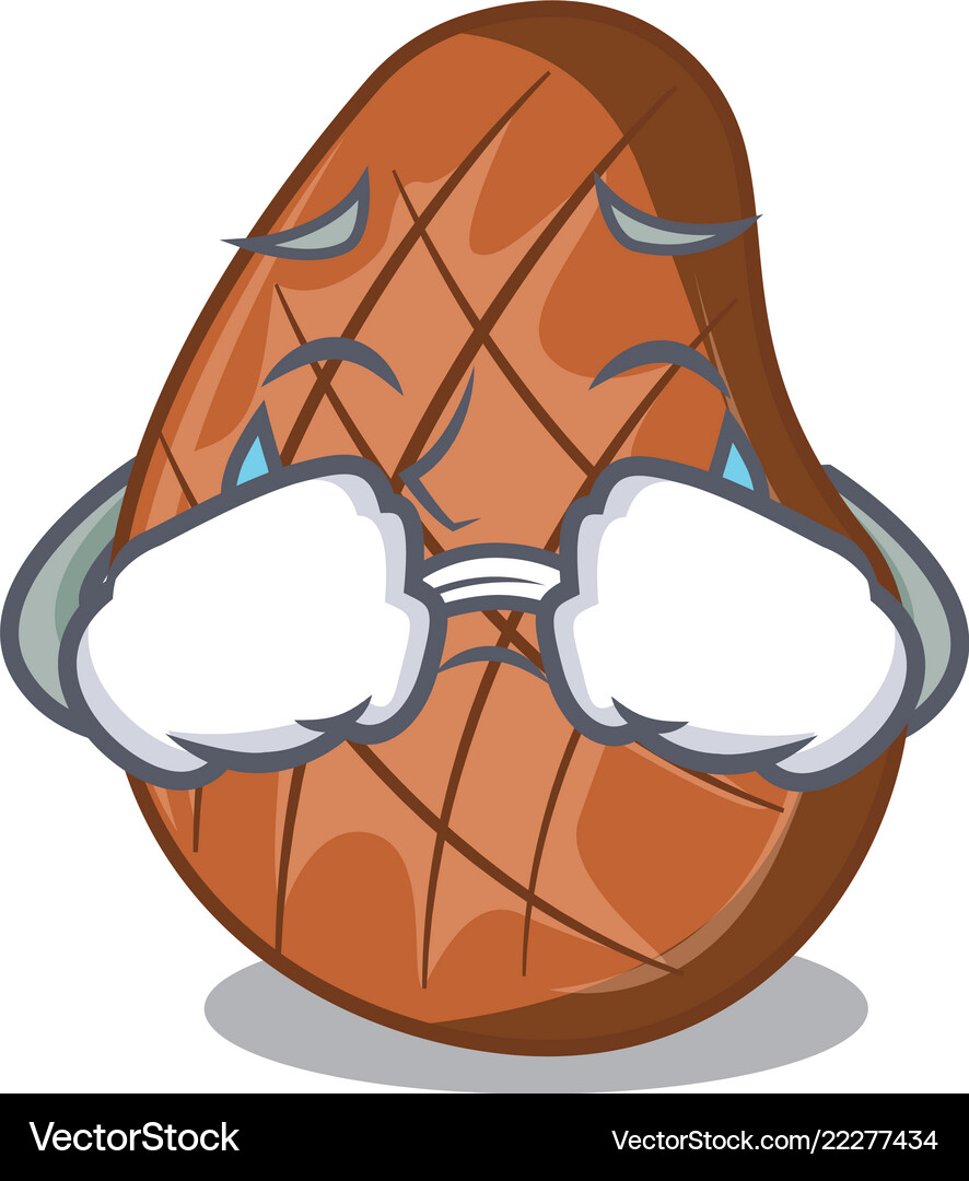 Crying cooked grilled beef steaks in cartoon Vector Image