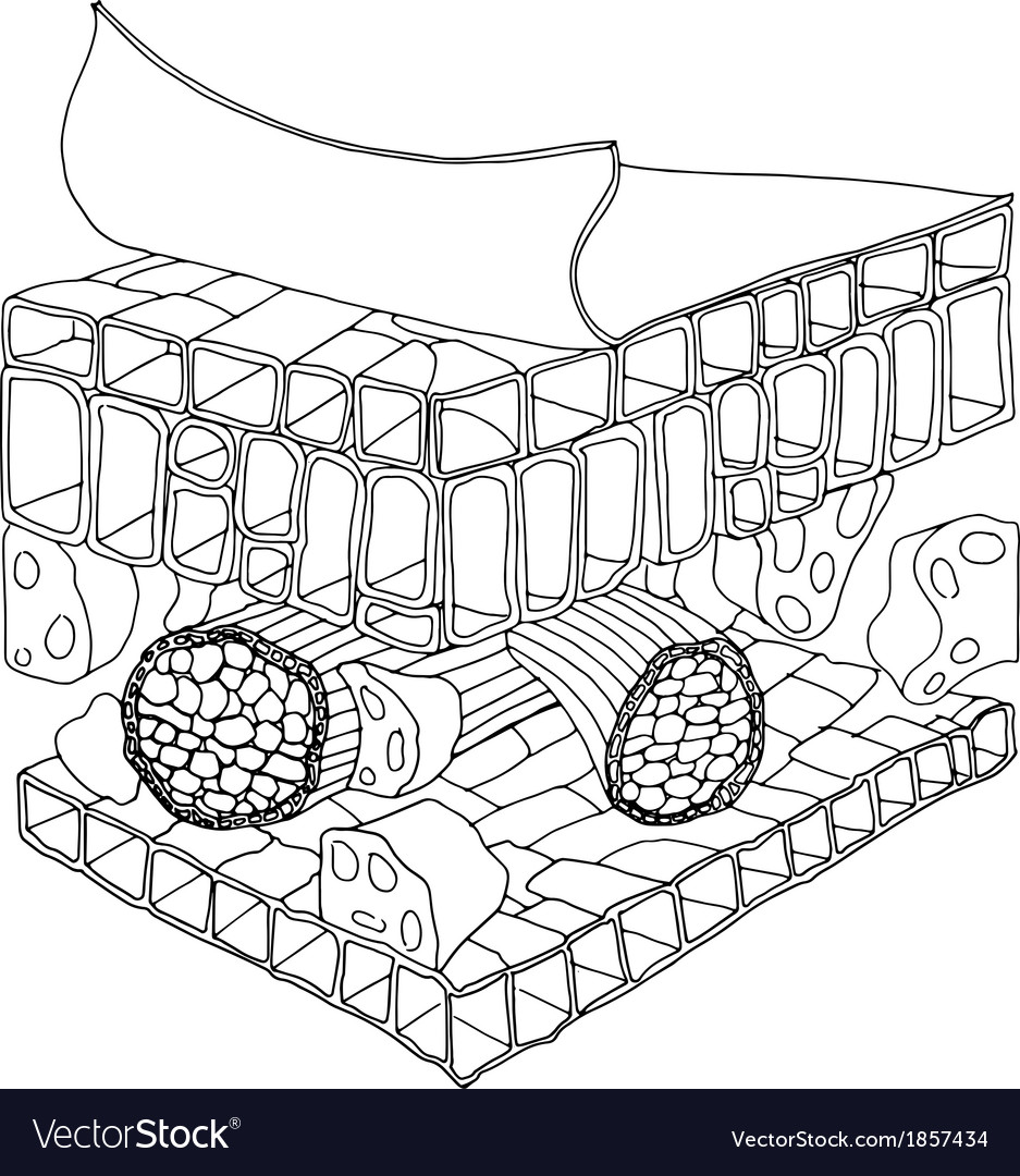 Leaf structure Royalty Free Vector Image - VectorStock