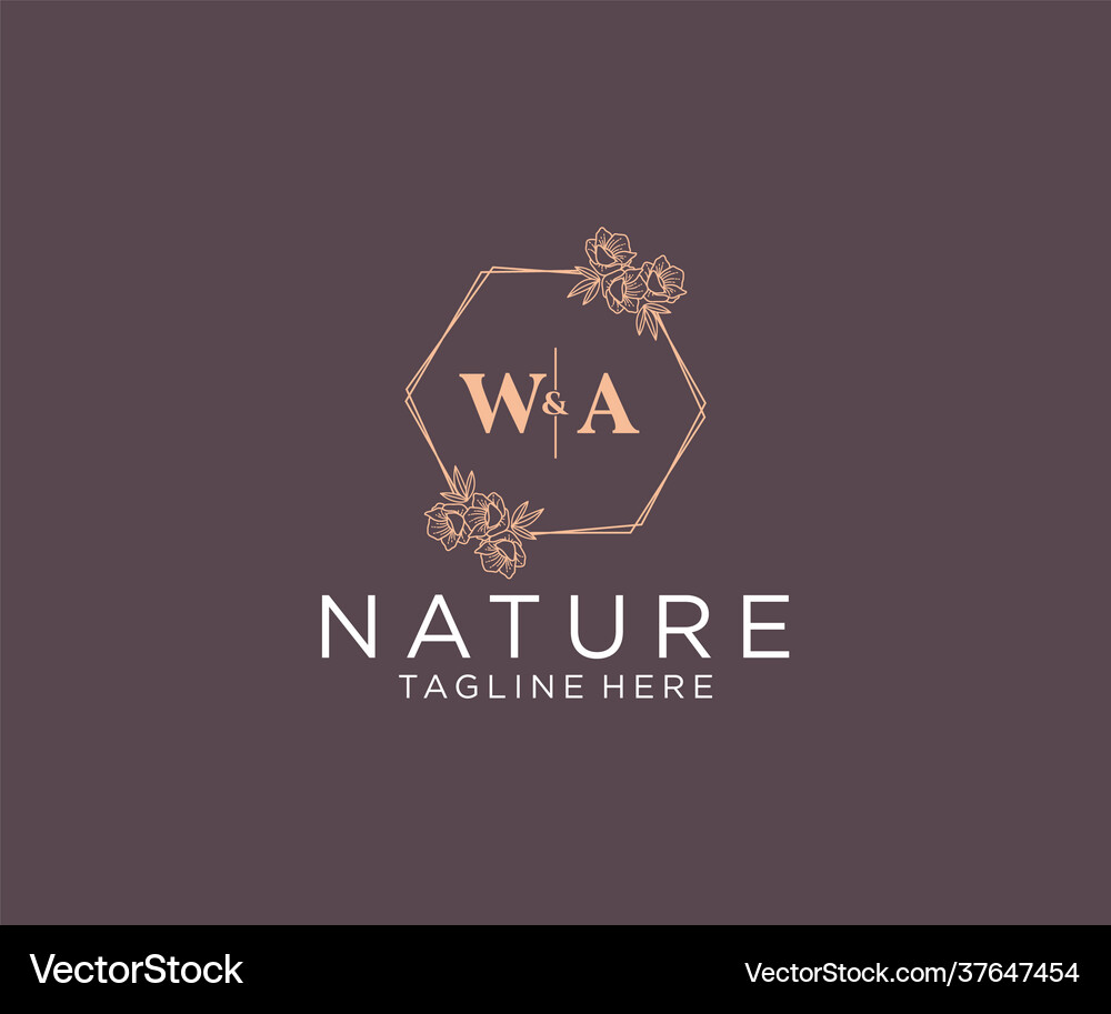 Initial wa letters floral frames botanical Vector Image