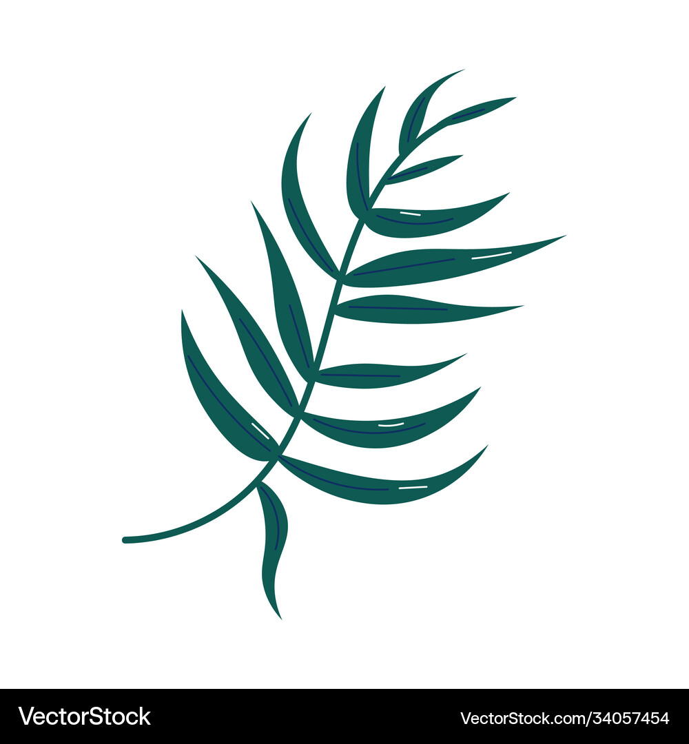Traditional symbol autumn fallen green leaf Vector Image