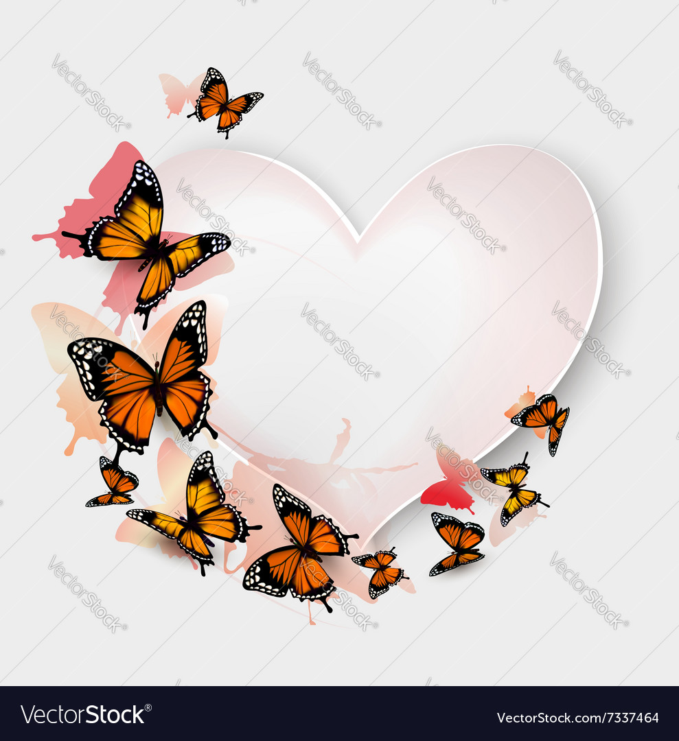 Greeting card with colorful butterflies and heart Vector Image
