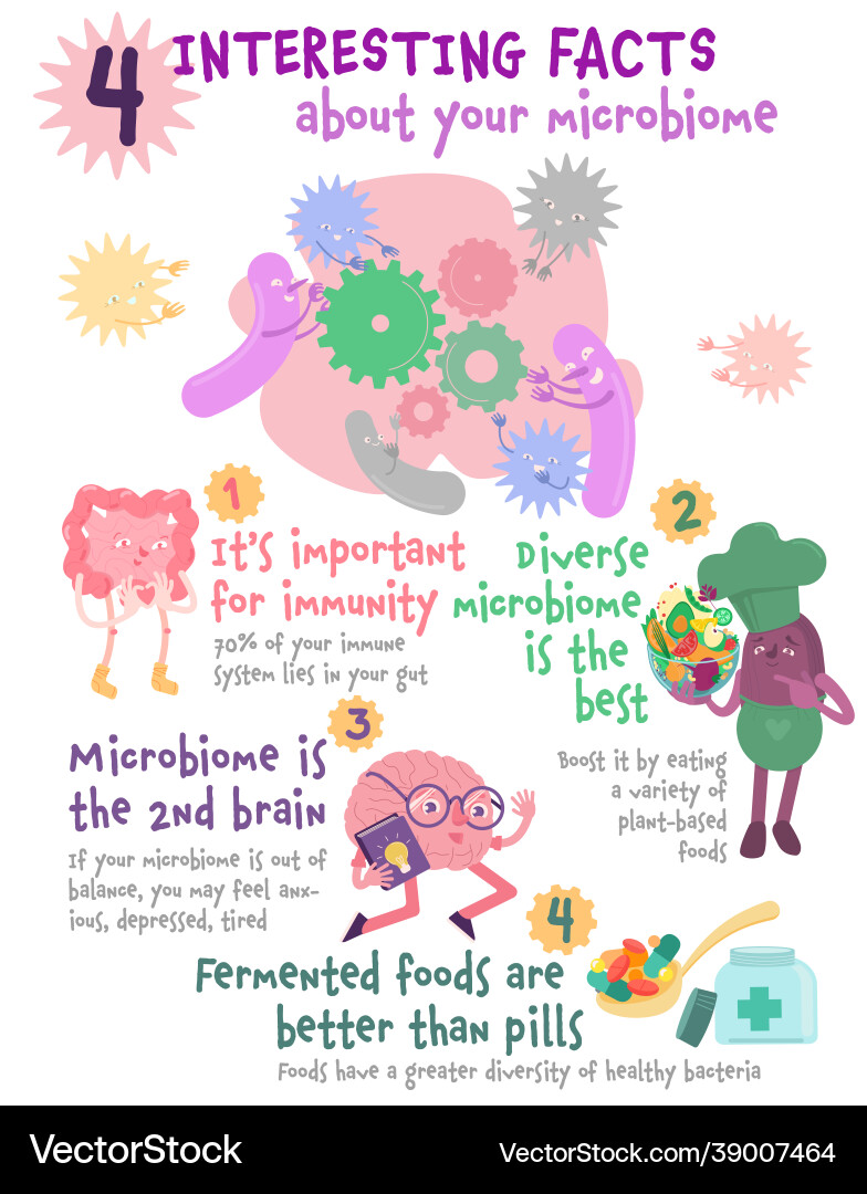 Interesting facts about your microbiome useful Vector Image