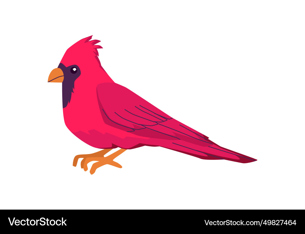 Red cardinal bird icon beautiful small bird with Vector Image