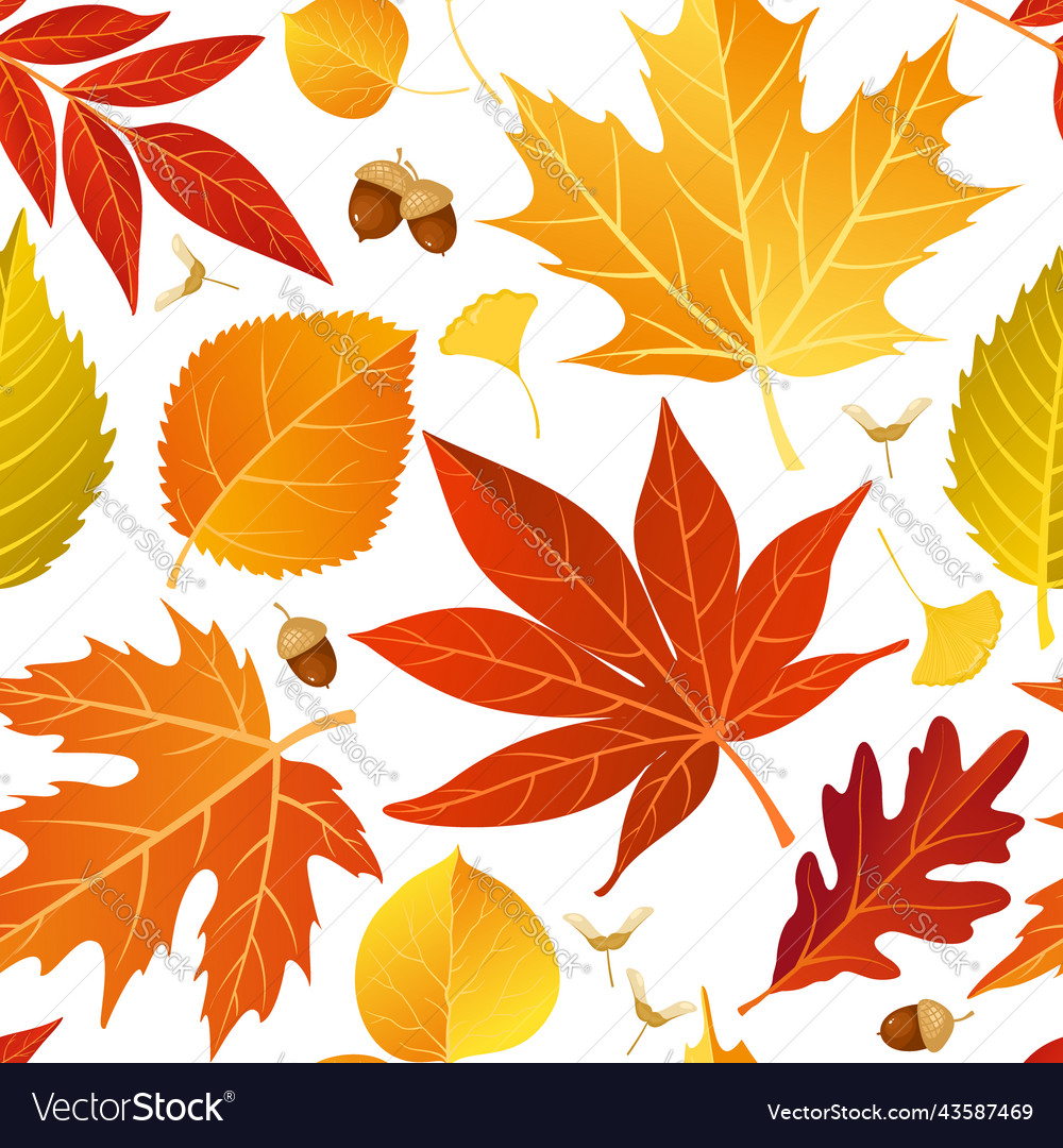 Autumn colorful leaves seamless pattern Royalty Free Vector