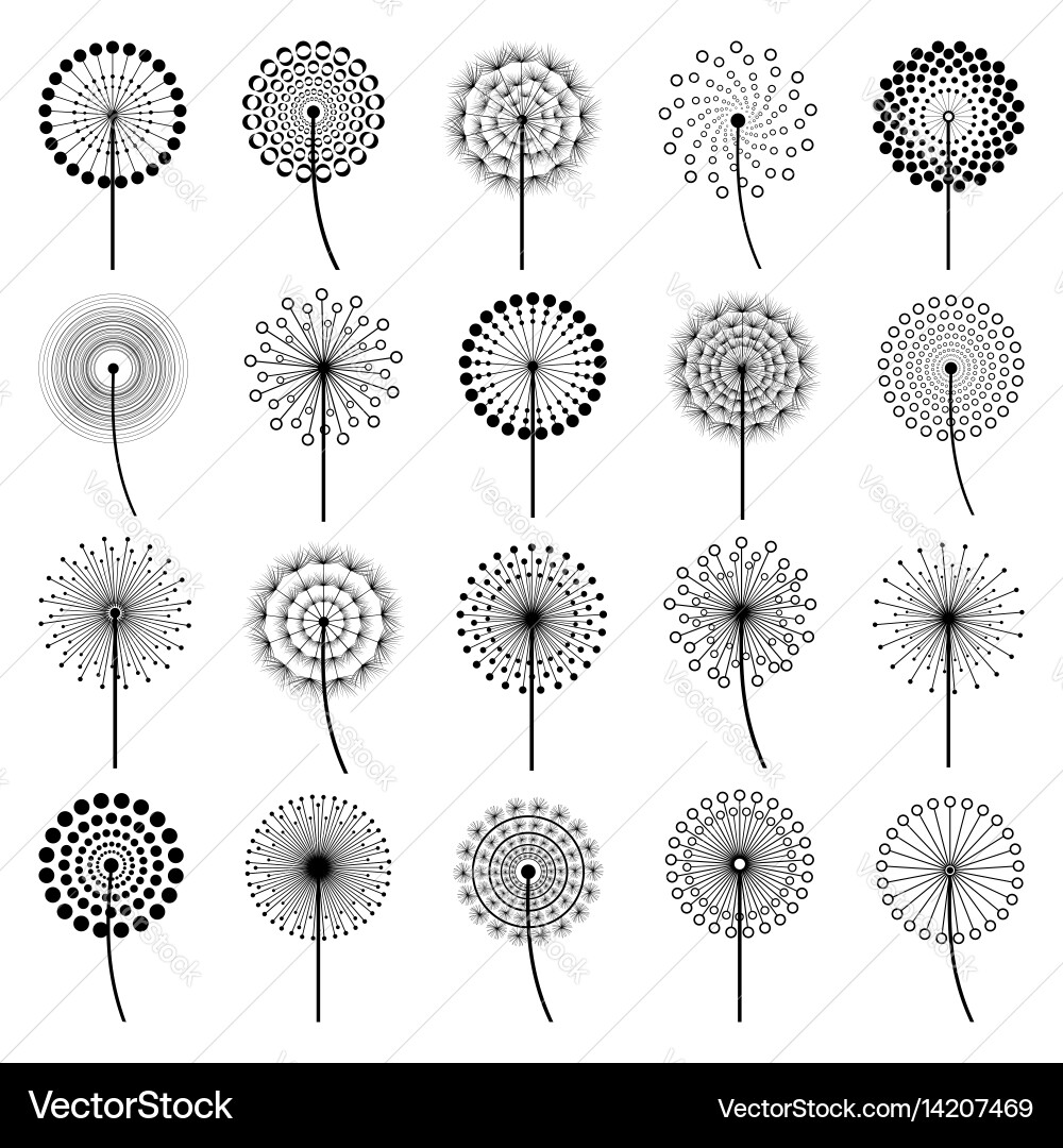 Set of stylized flower dandelion Royalty Free Vector Image