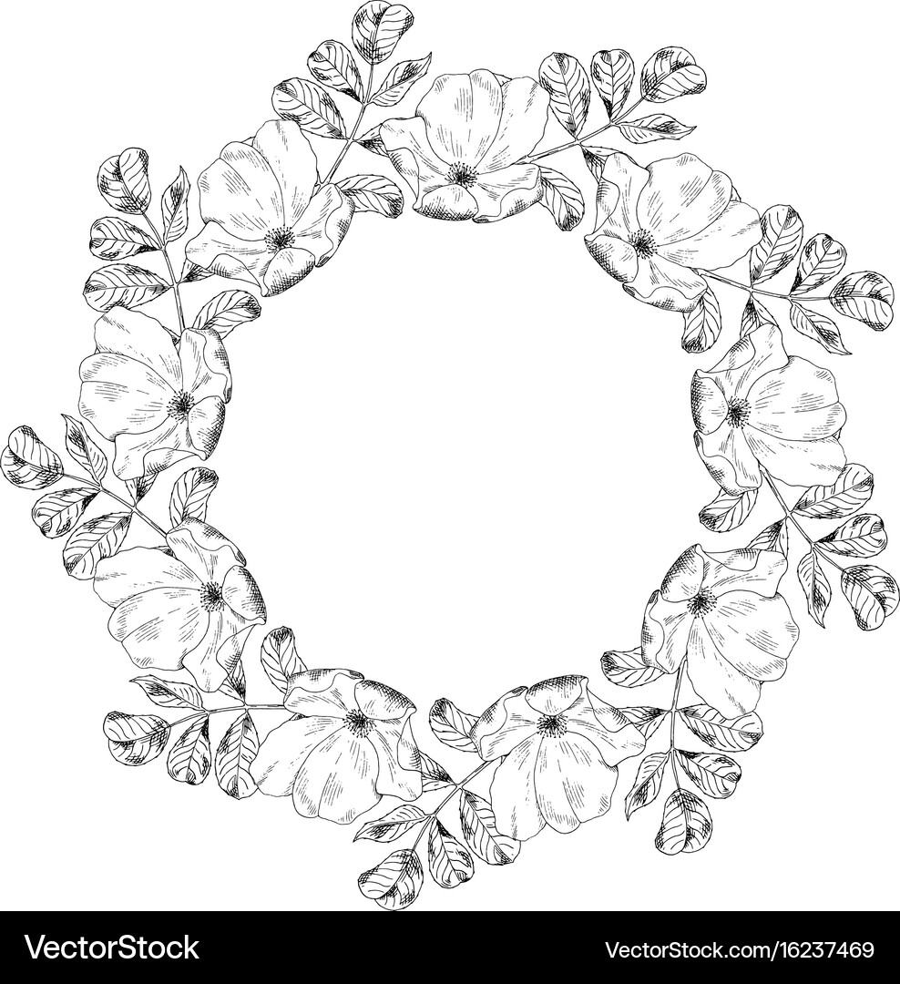 Vintage circle frame briar sketch template Vector Image