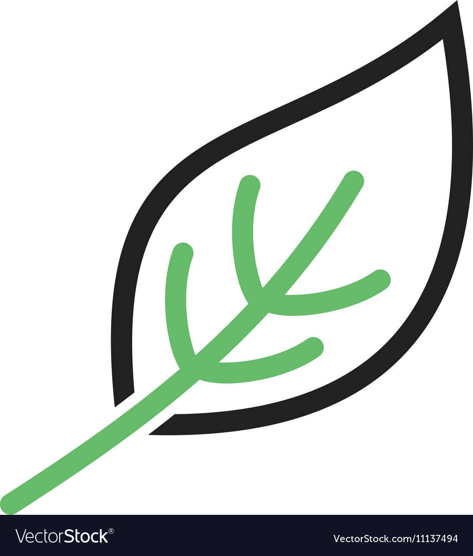 Leaf Royalty Free Vector Image - VectorStock