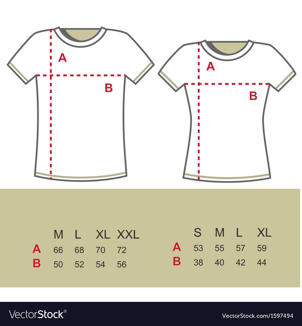 T shirt Sizes Royalty Free Vector Image VectorStock