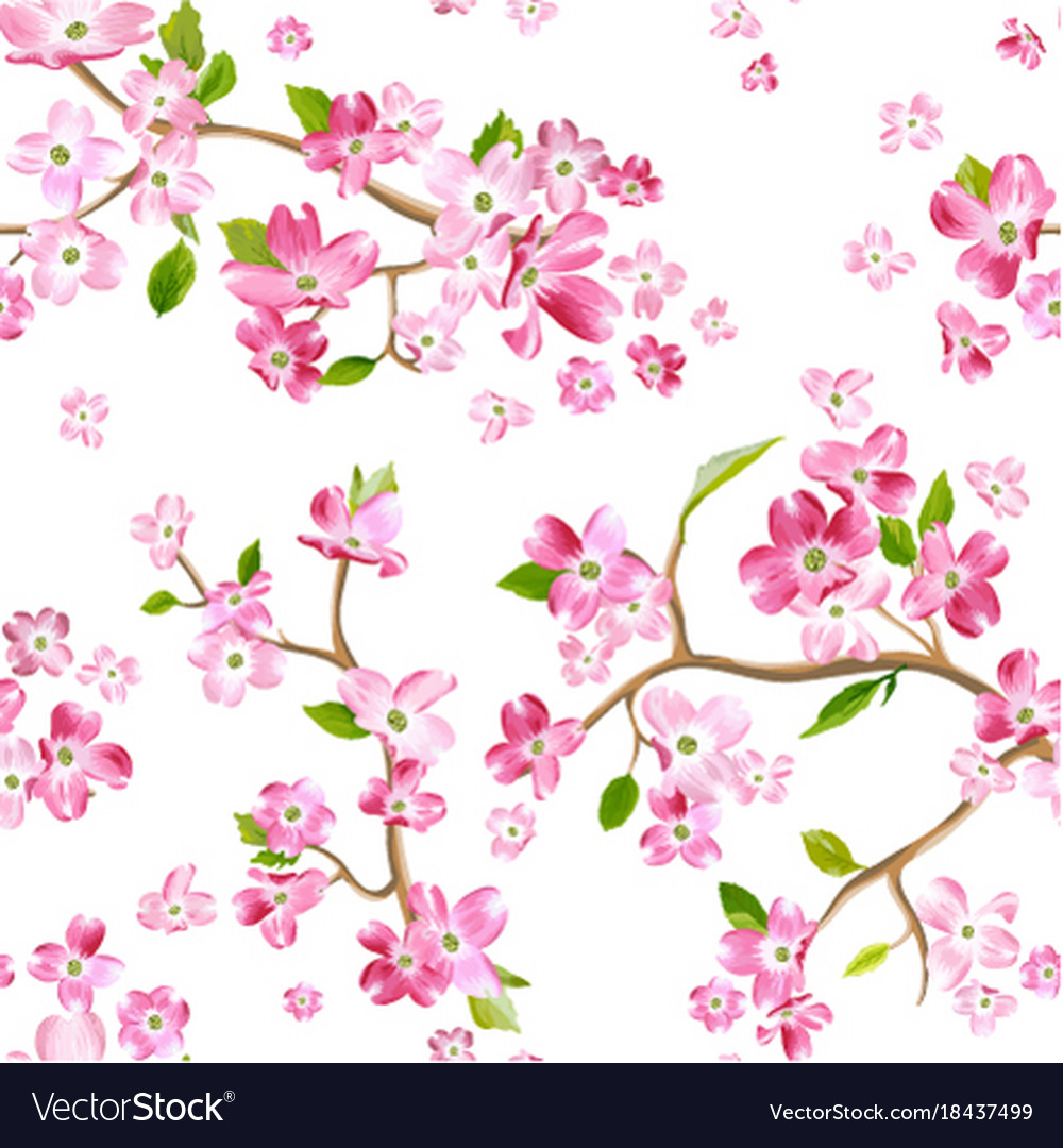 Spring flowers seamless pattern background Vector Image