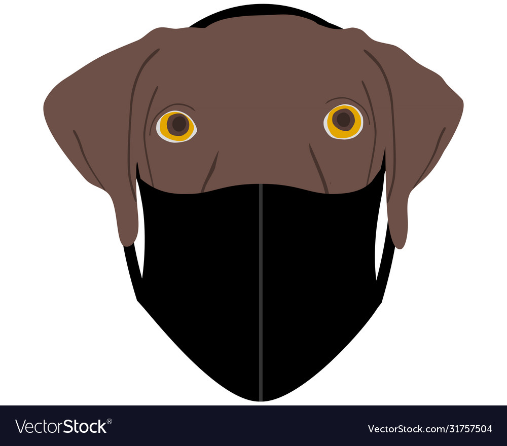 Dog with protective mask on white Royalty Free Vector Image