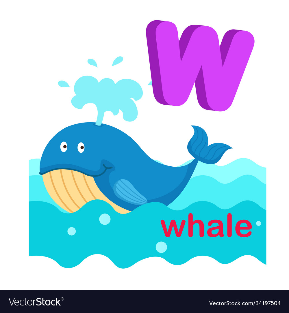 Isolated alphabet letter w whale Royalty Free Vector Image