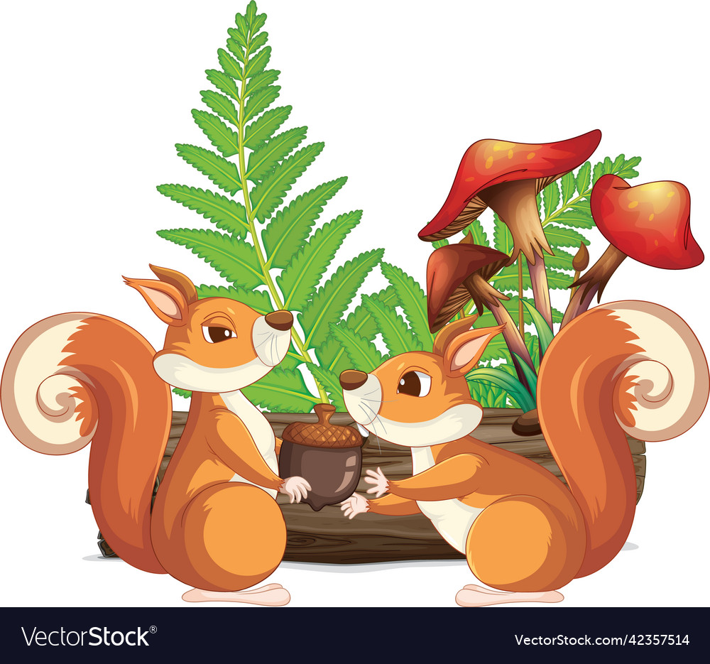 Two Squirrels In The Garden Royalty Free Vector Image