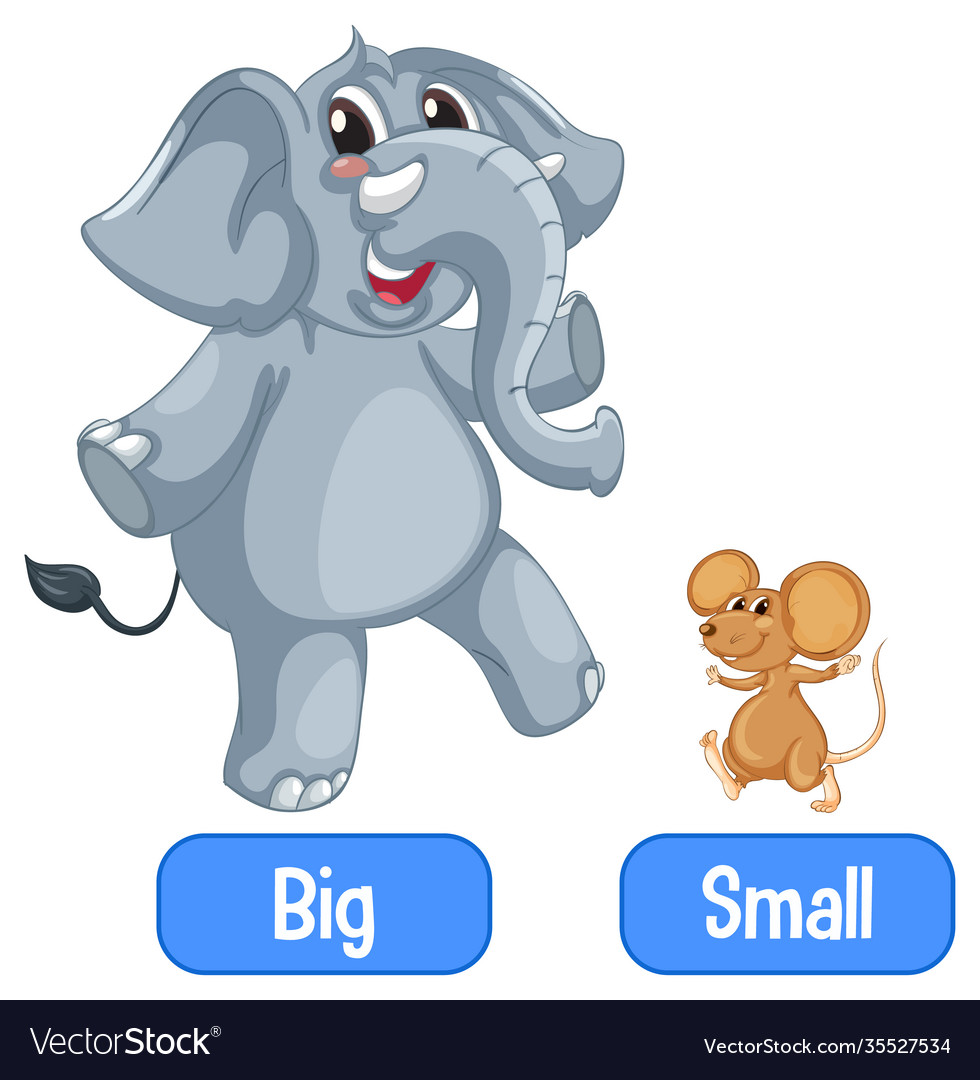 Opposite Adjectives Words With Big And Small Vector Image