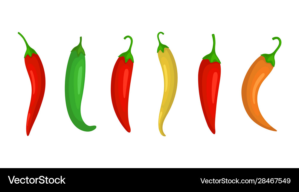 Chilli pepper isolated icons Royalty Free Vector Image
