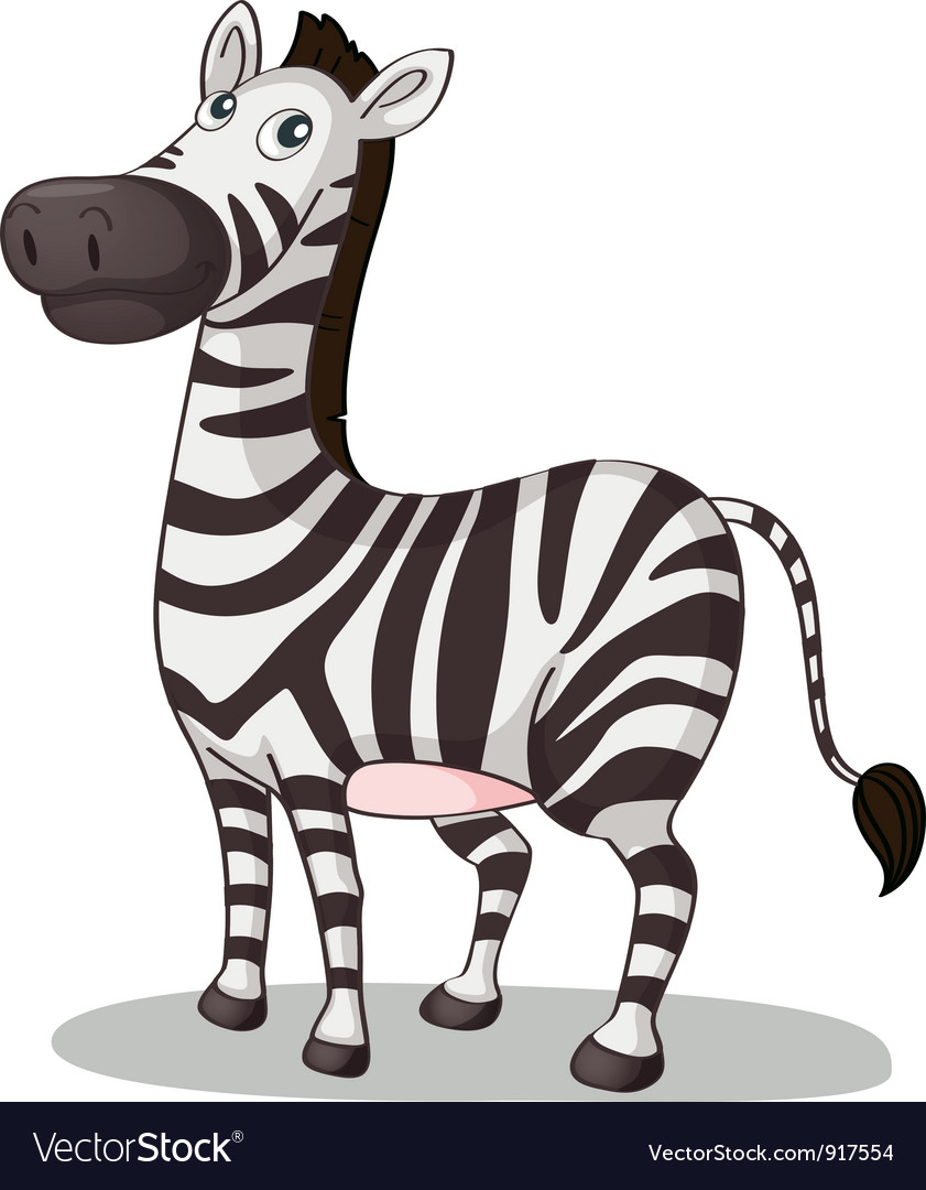 Zebra Royalty Free Vector Image - VectorStock