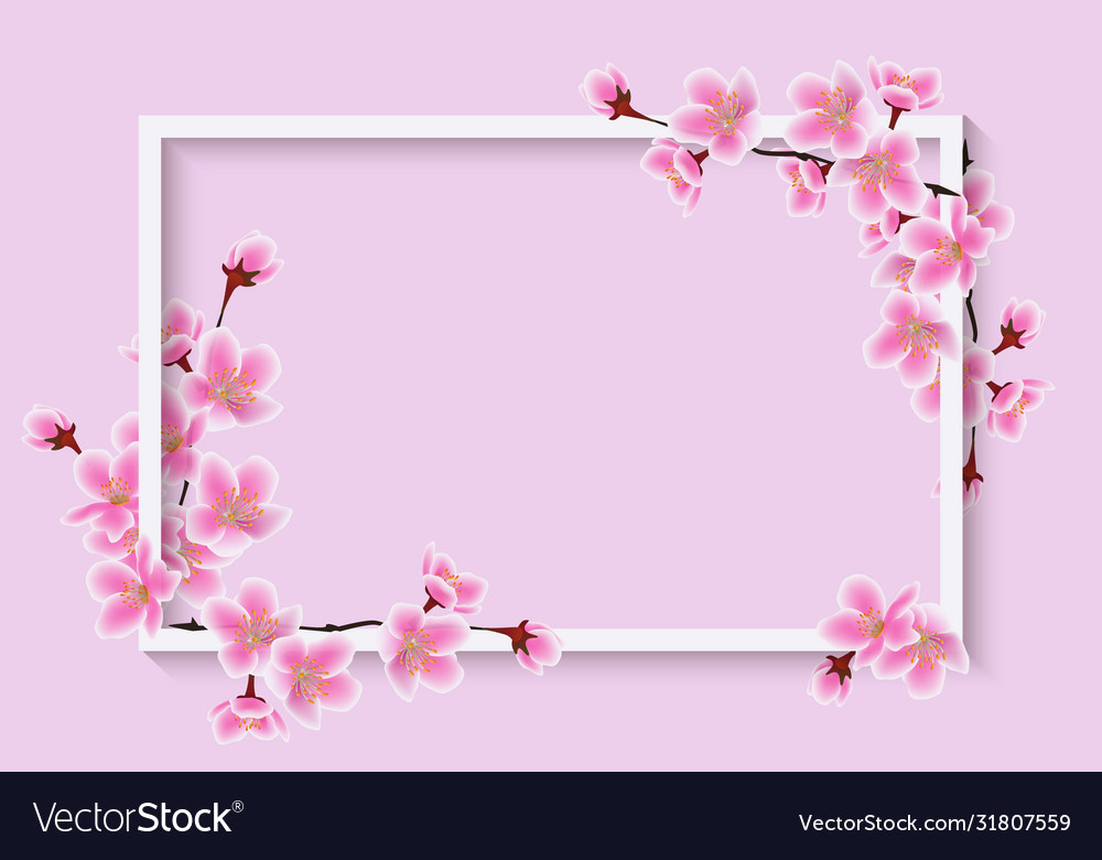 Cherry blossom spring flower frame with realistic Vector Image Cherry blossom spring flower frame with realistic Vector Image