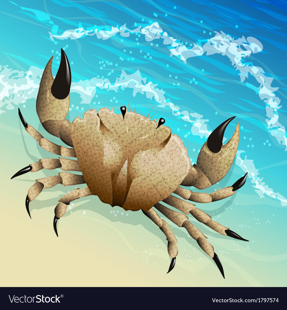 Crab Royalty Free Vector Image - VectorStock Crab Royalty Free Vector Image - VectorStock