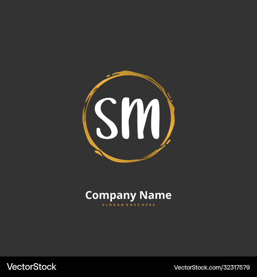 S m sm initial handwriting and signature logo Vector Image