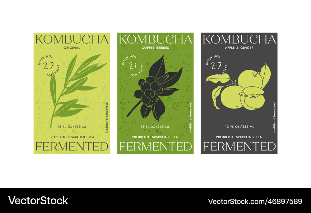 Set design labels for kombucha minimalistic Vector Image