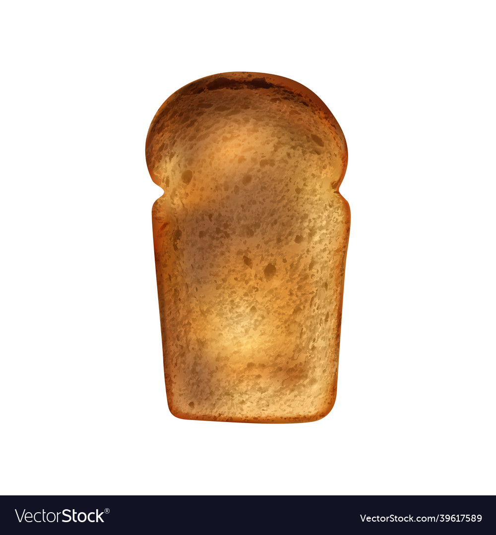 Toasted bread slice Royalty Free Vector Image - VectorStock