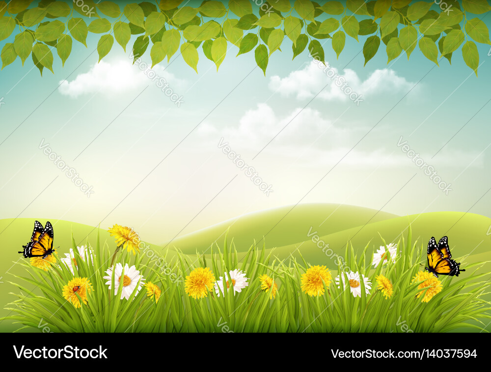 Spring nature landscape background with flowers Vector Image
