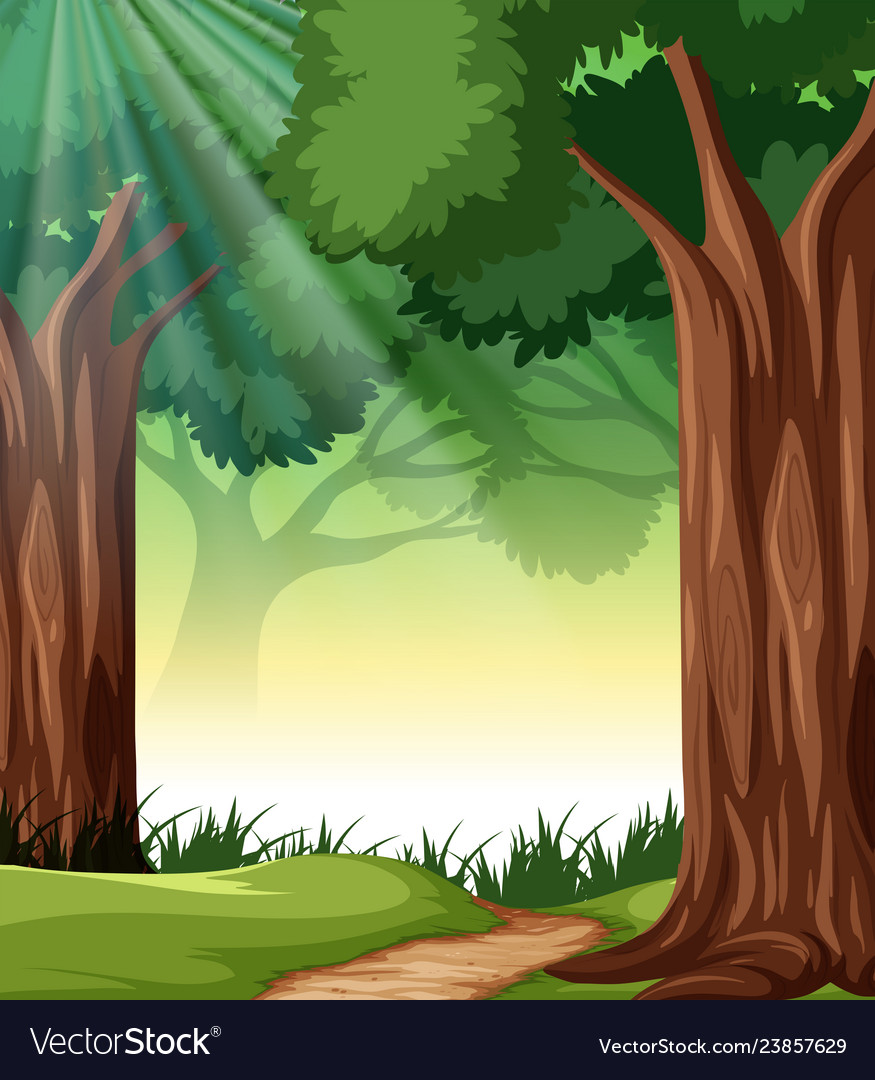 A tropical rainforest background Royalty Free Vector Image