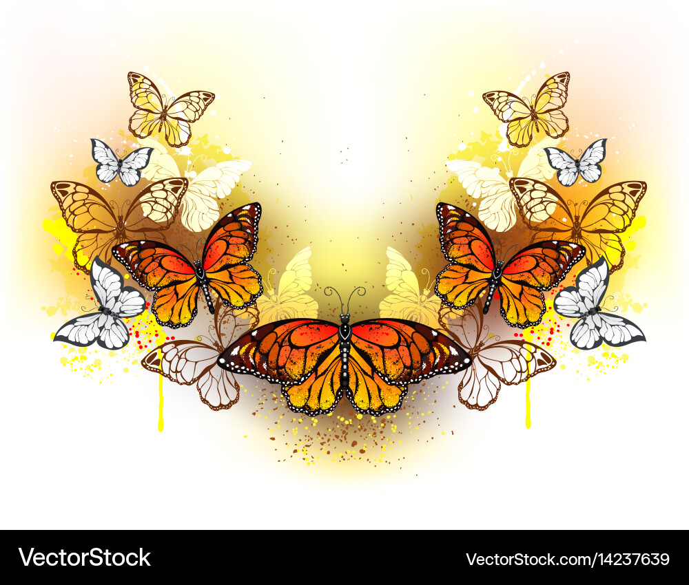 Symmetrical pattern butterflies monarchs Vector Image