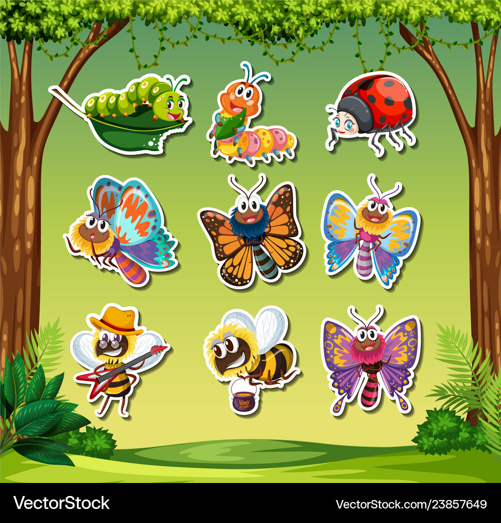 Set of insect sticker Royalty Free Vector Image