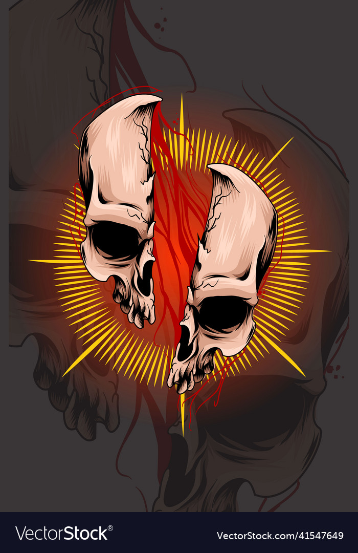 Split skull Royalty Free Vector Image - VectorStock