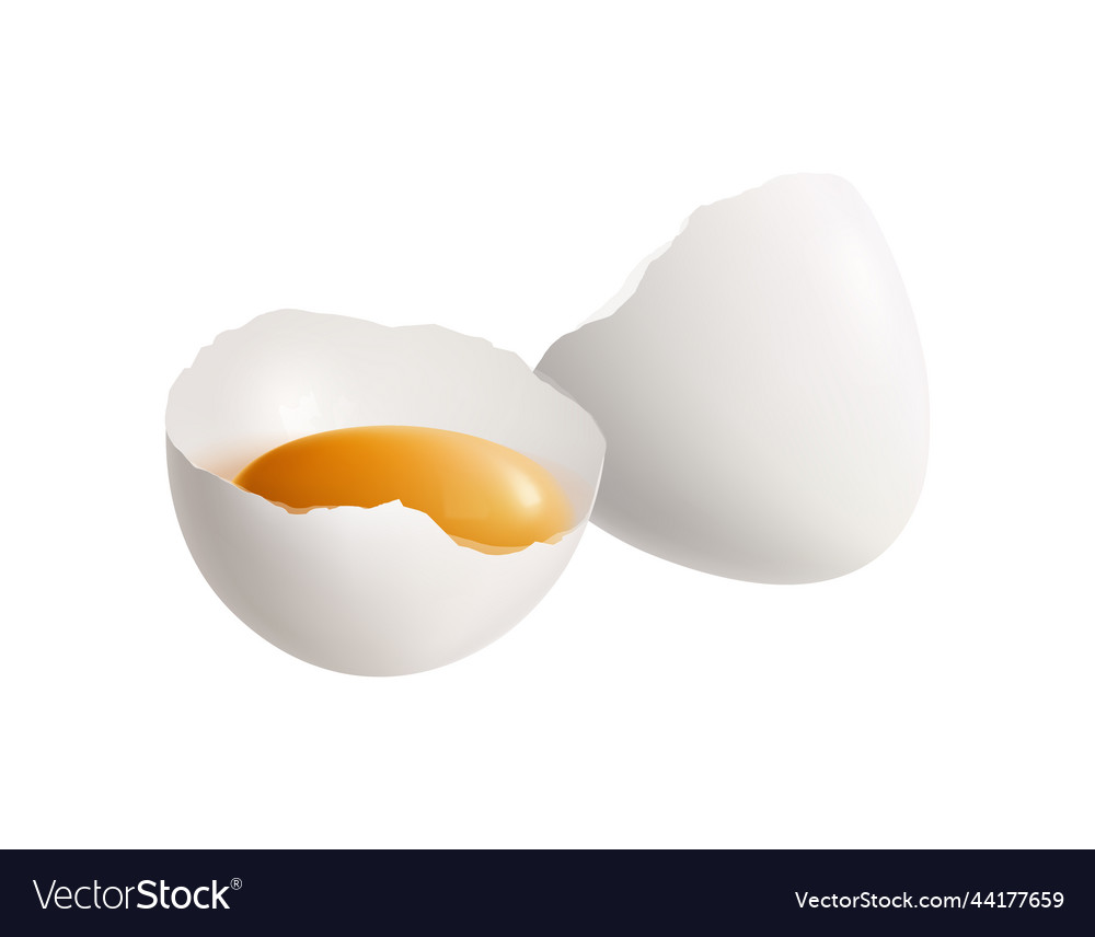 Realistic eggshell Royalty Free Vector Image - VectorStock