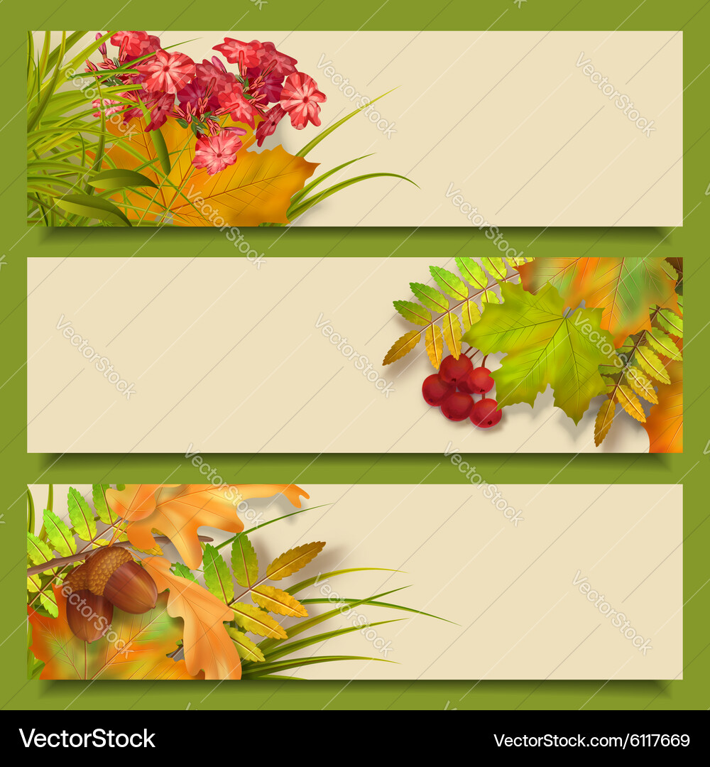 Autumn Fall Leaves Banners Royalty Free Vector Image