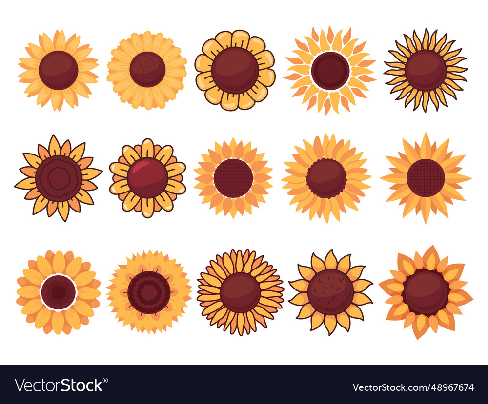 Cartoon sunflowers different plant shapes yellow Vector Image